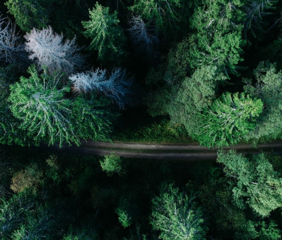 Optima Tech Australia – A new benchmark for net zero data accuracy